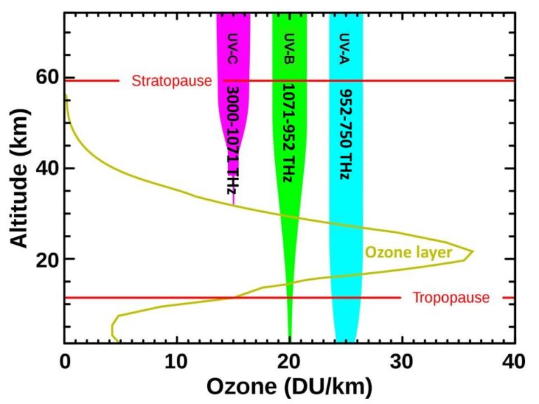 Ozone Distribution in Earth's Atmosphere